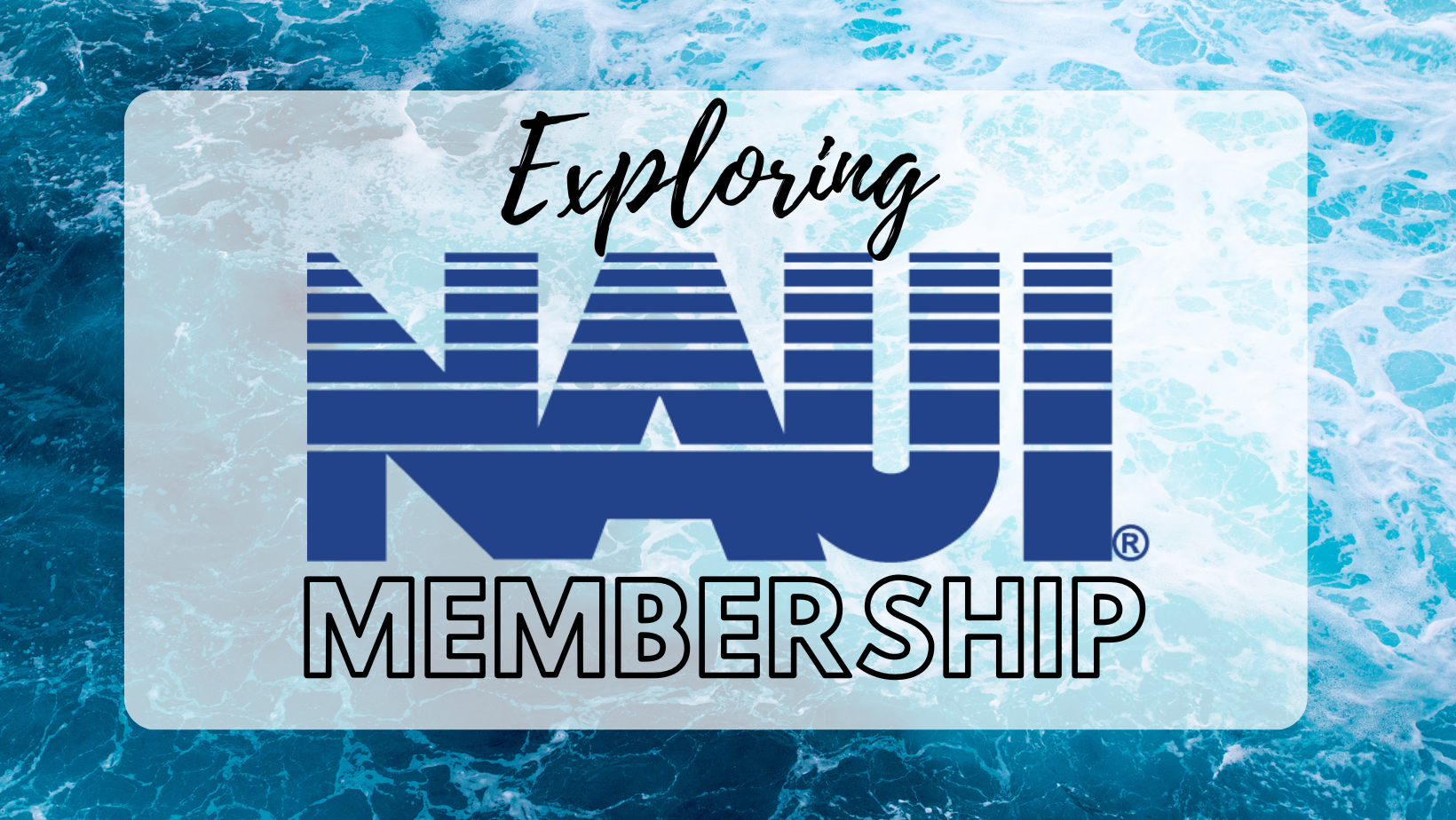 Exploring NAUI Membership: Your Guide to a World of Professional Scuba ...