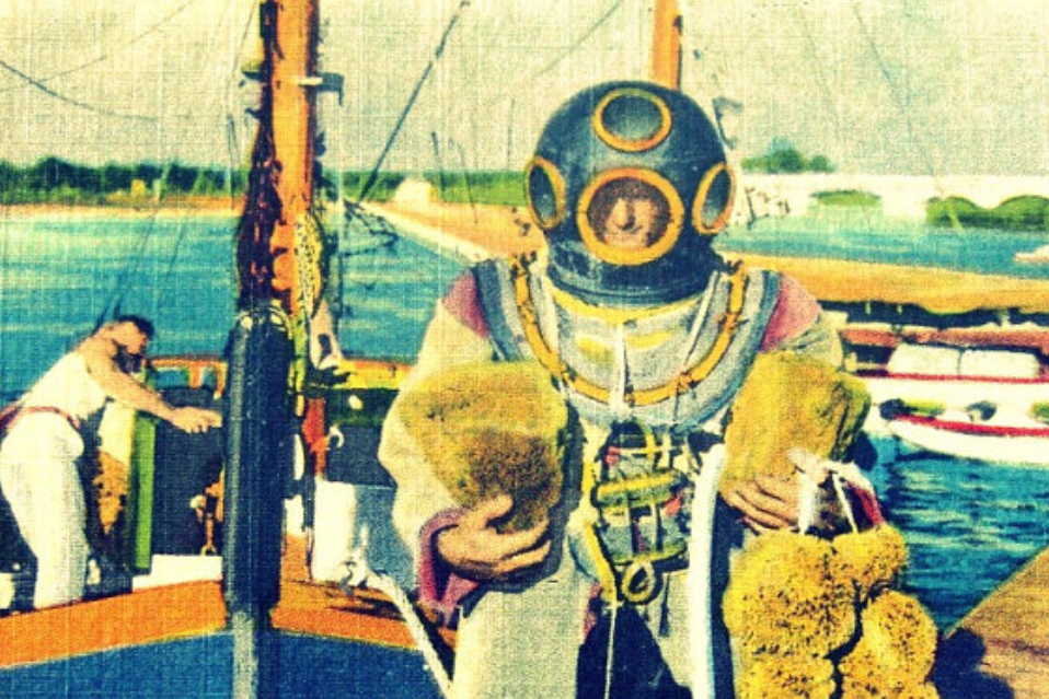 NAUI Contributes to and Sponsors The History of Diving Museum's Vintage ...
