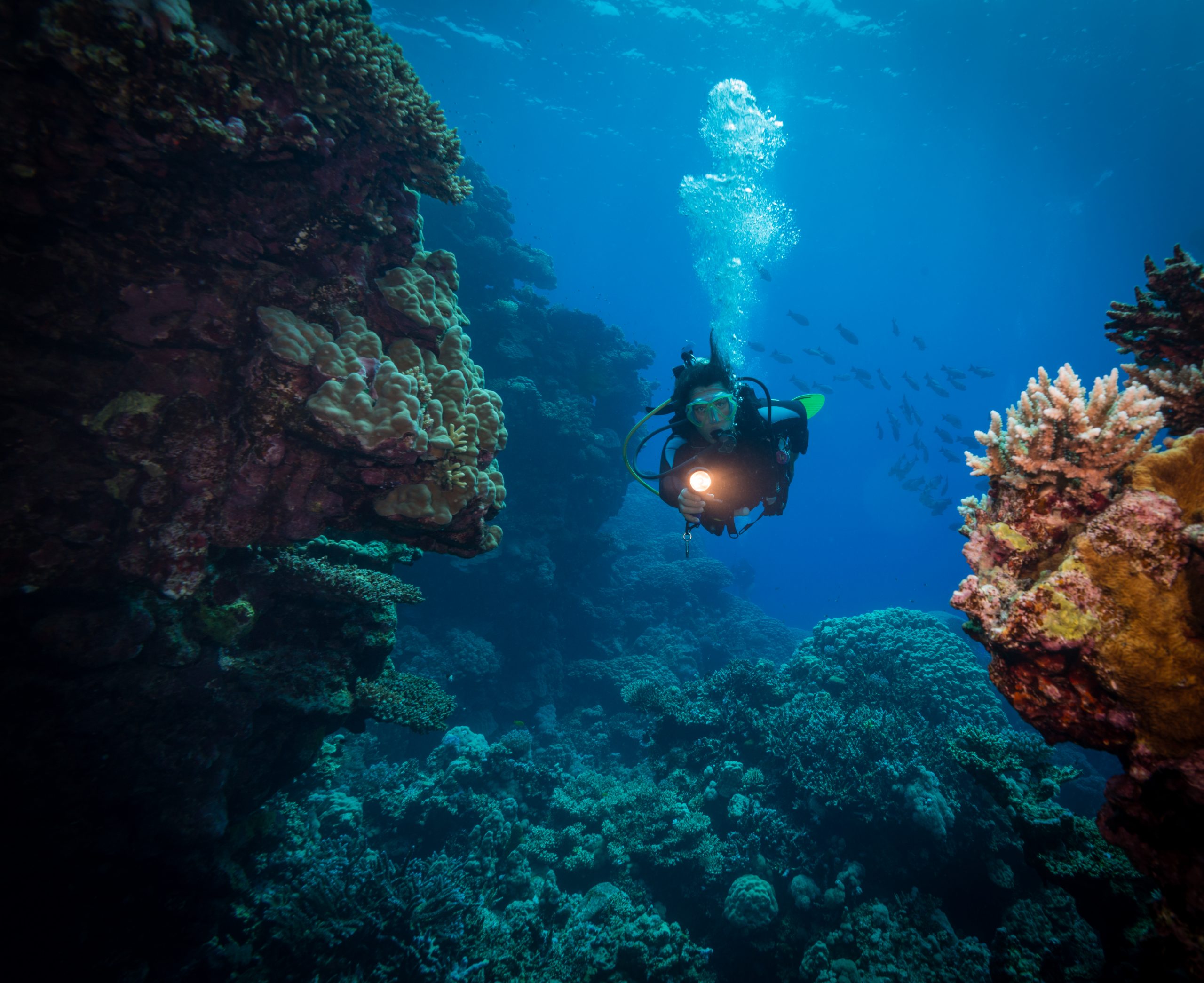 Specialty - NAUI Worldwide