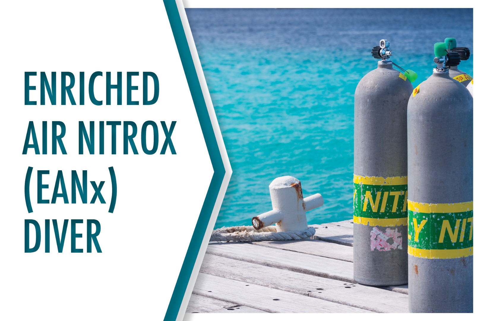 NAUI eLearning Video Library - NAUI Worldwide